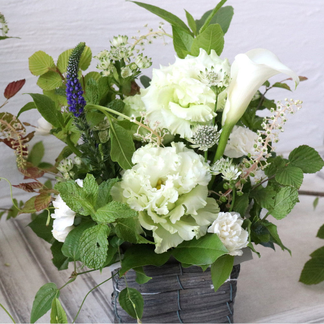 all – はなまど